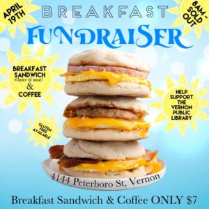 Vernon Public Library – Library Website